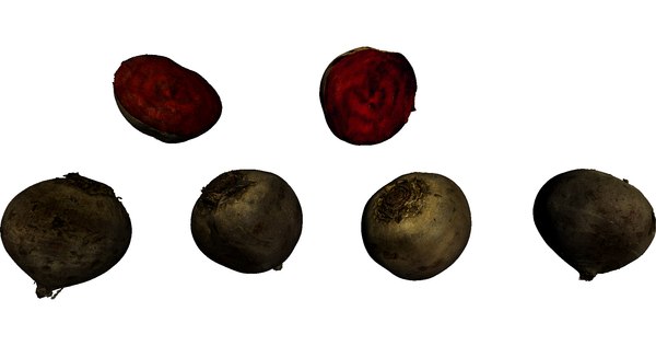 Beet 3D Models for Download | TurboSquid