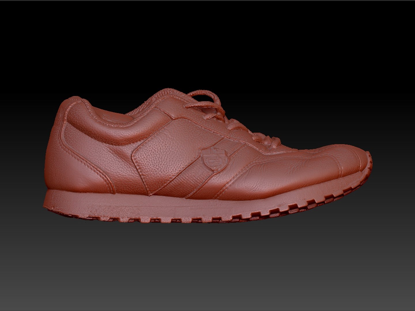 3d Scan Phat Farm Sports Shoe Model