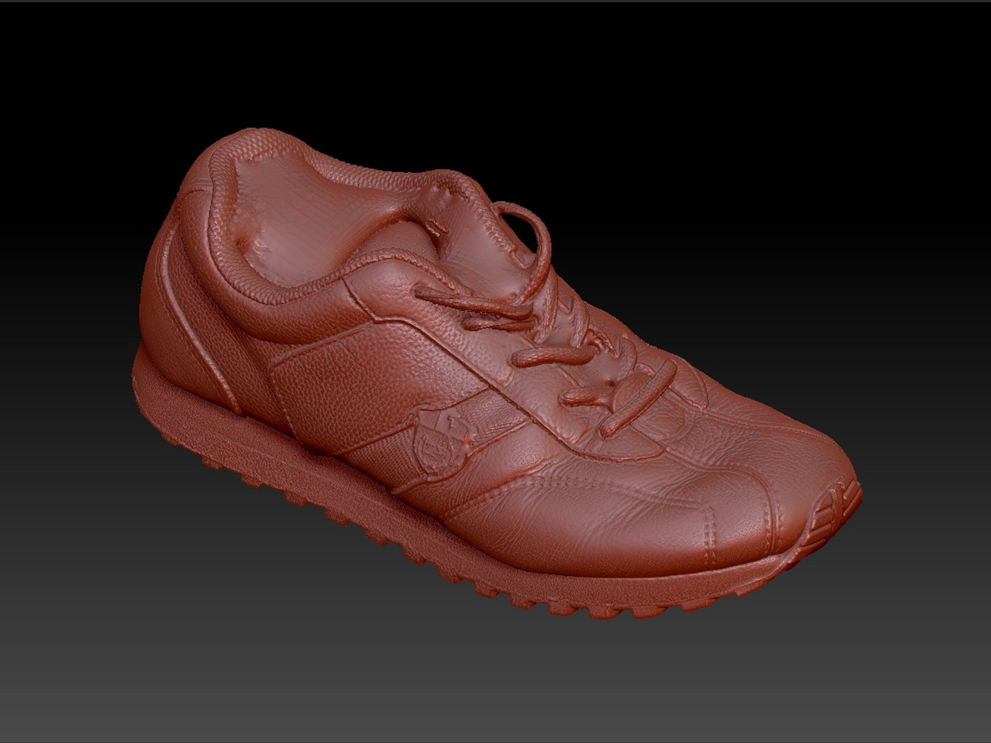 3d Scan Phat Farm Sports Shoe Model