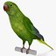 Parakeet Pose 2 3d Model