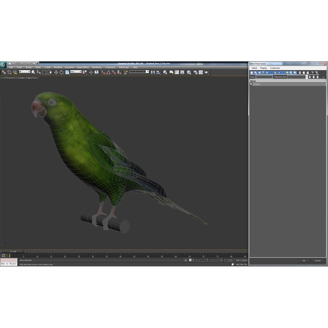 parakeet pose 2 3d model