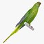 Parakeet Pose 2 3d Model