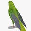 Parakeet Pose 2 3d Model