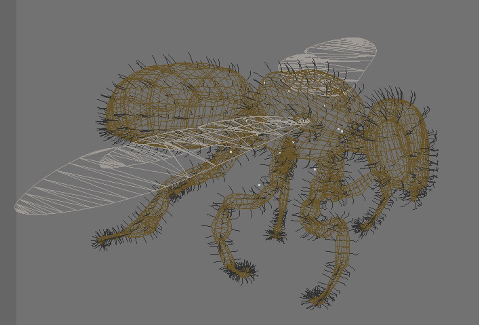 3d honey bee model