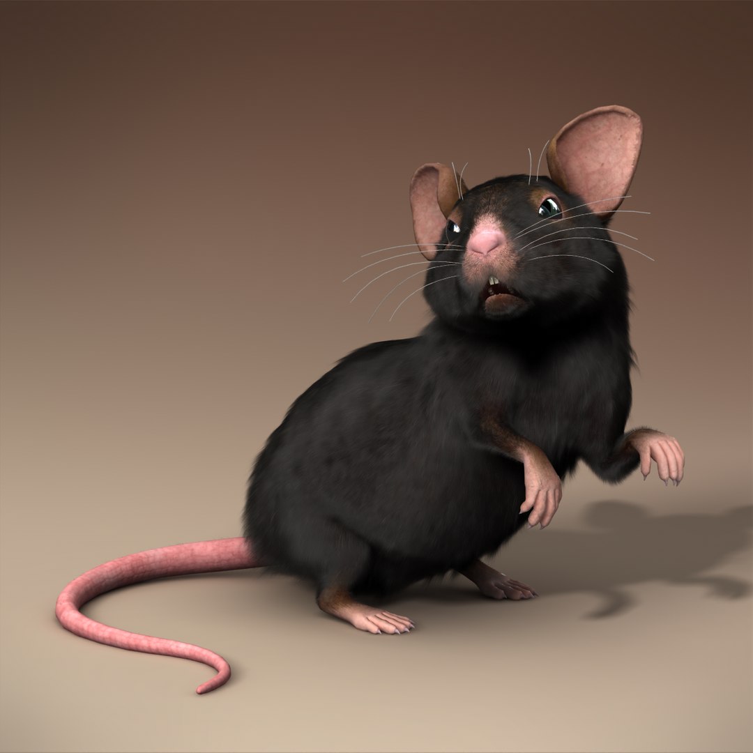 Mouse Rigged - Max