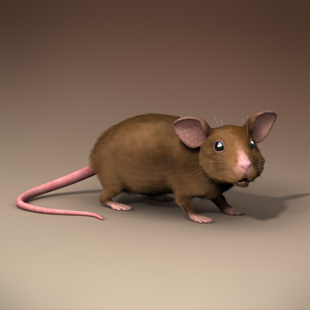 Mouse Rigged - Max