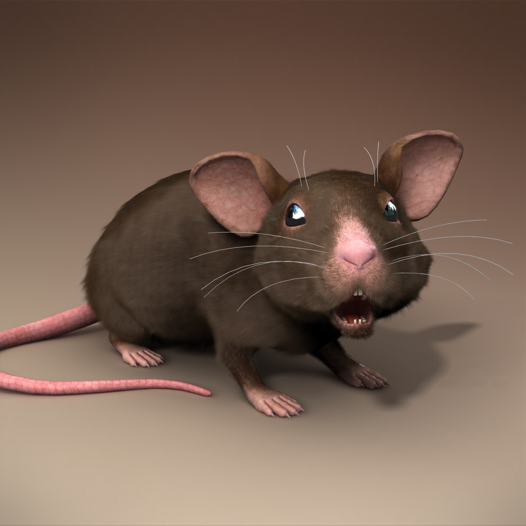 Mouse Rigged - Max
