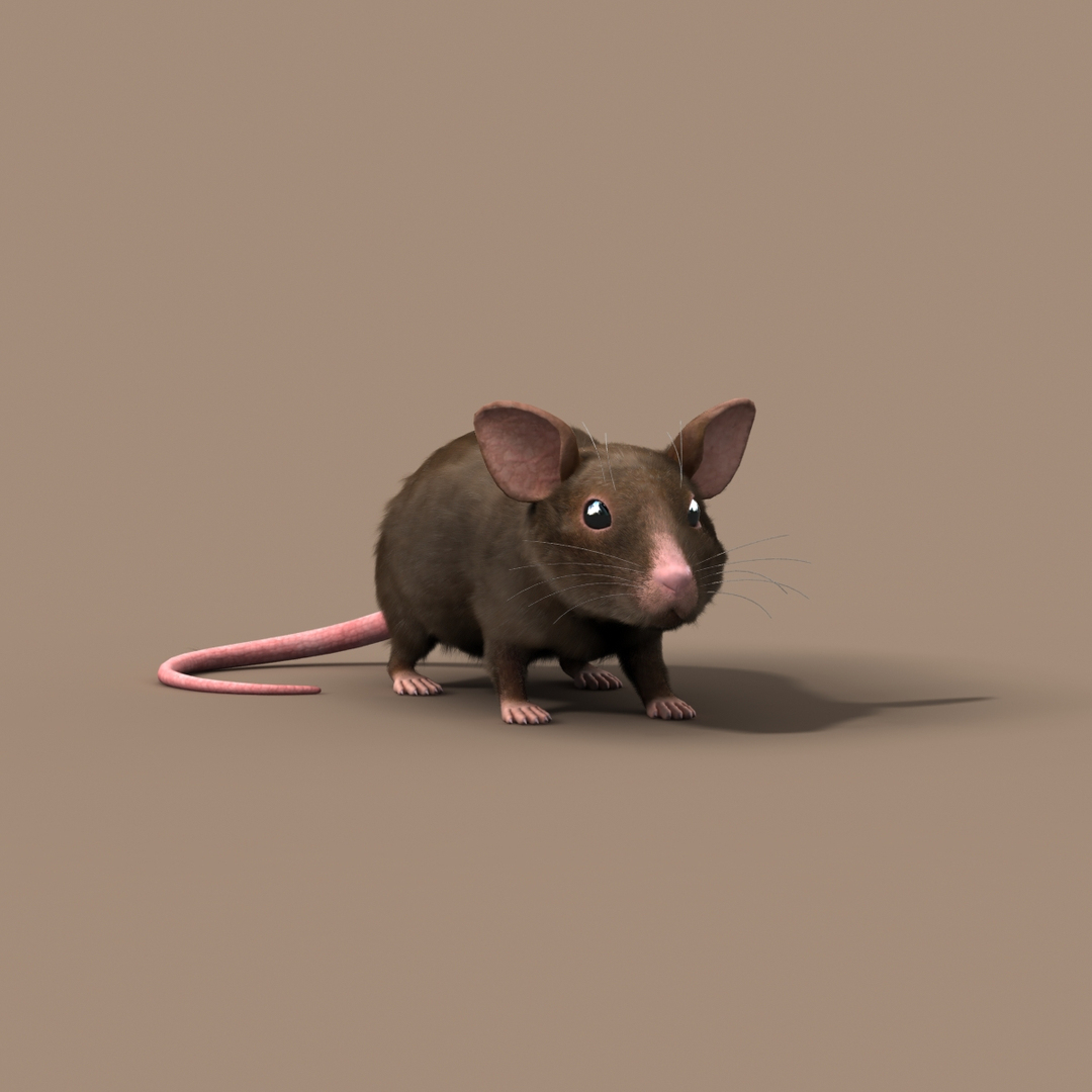 Mouse Rigged - Max