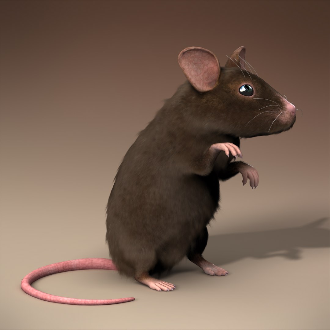 Mouse Rigged - Max