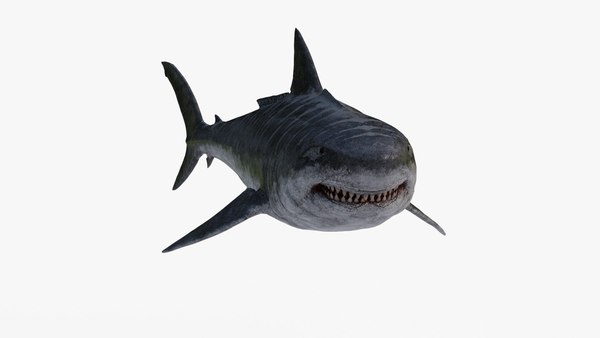 modelo 3d Megalodon - TurboSquid 2021621