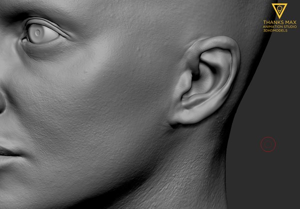 에밀리 v3 하이퍼 현실적인 여성 Zbrush 3D 모델 - TurboSquid 971341