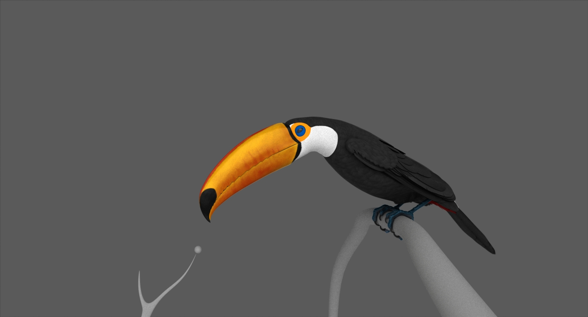 3D toco toucan animation - TurboSquid 1309168