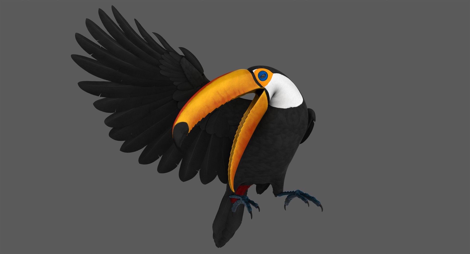 3D toco toucan animation - TurboSquid 1309168