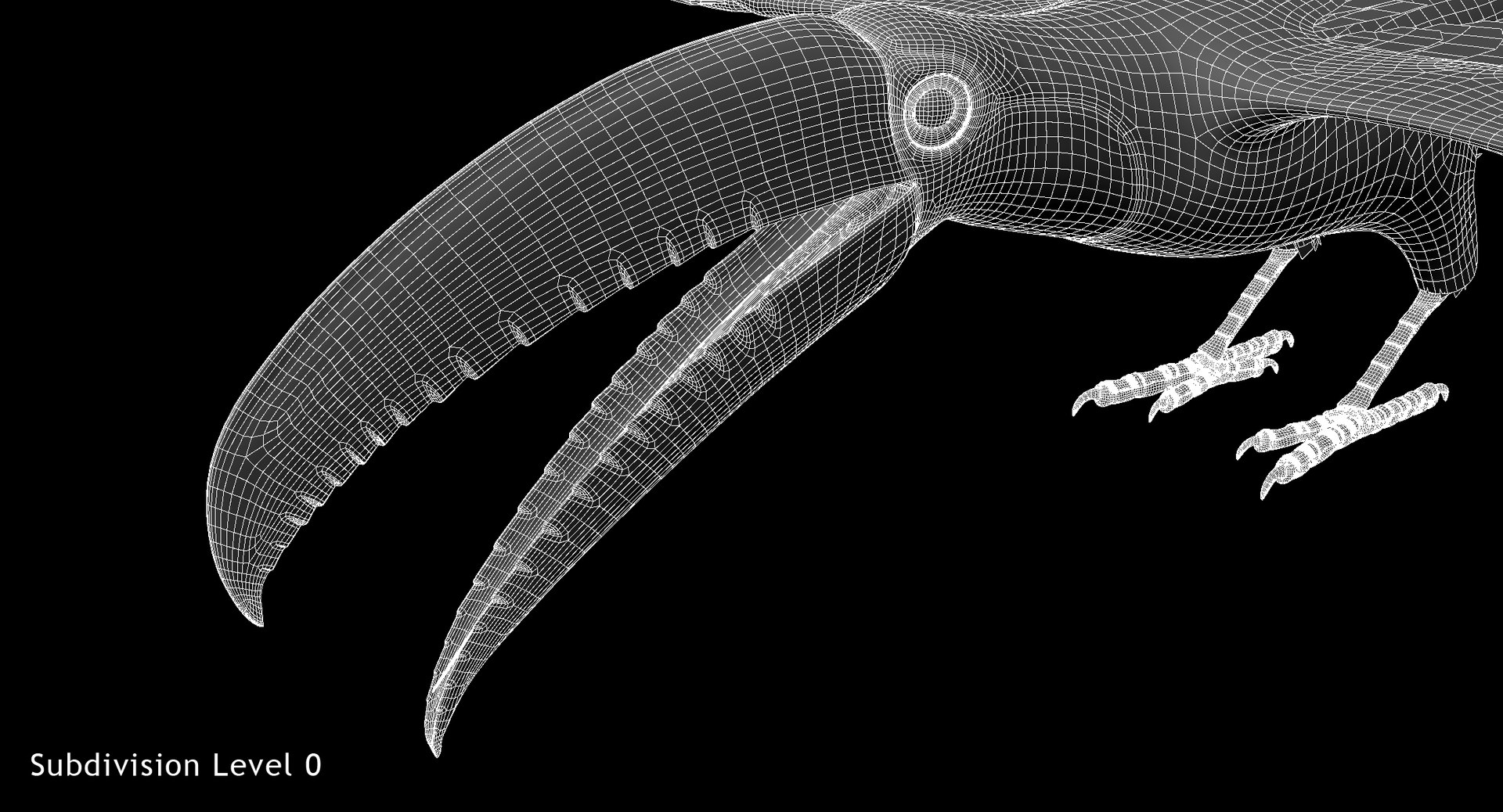 3D Toco Toucan Animation - TurboSquid 1309168