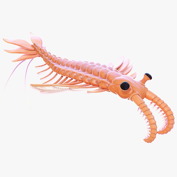 3D model Anomalocaris Animated - TurboSquid 1775931