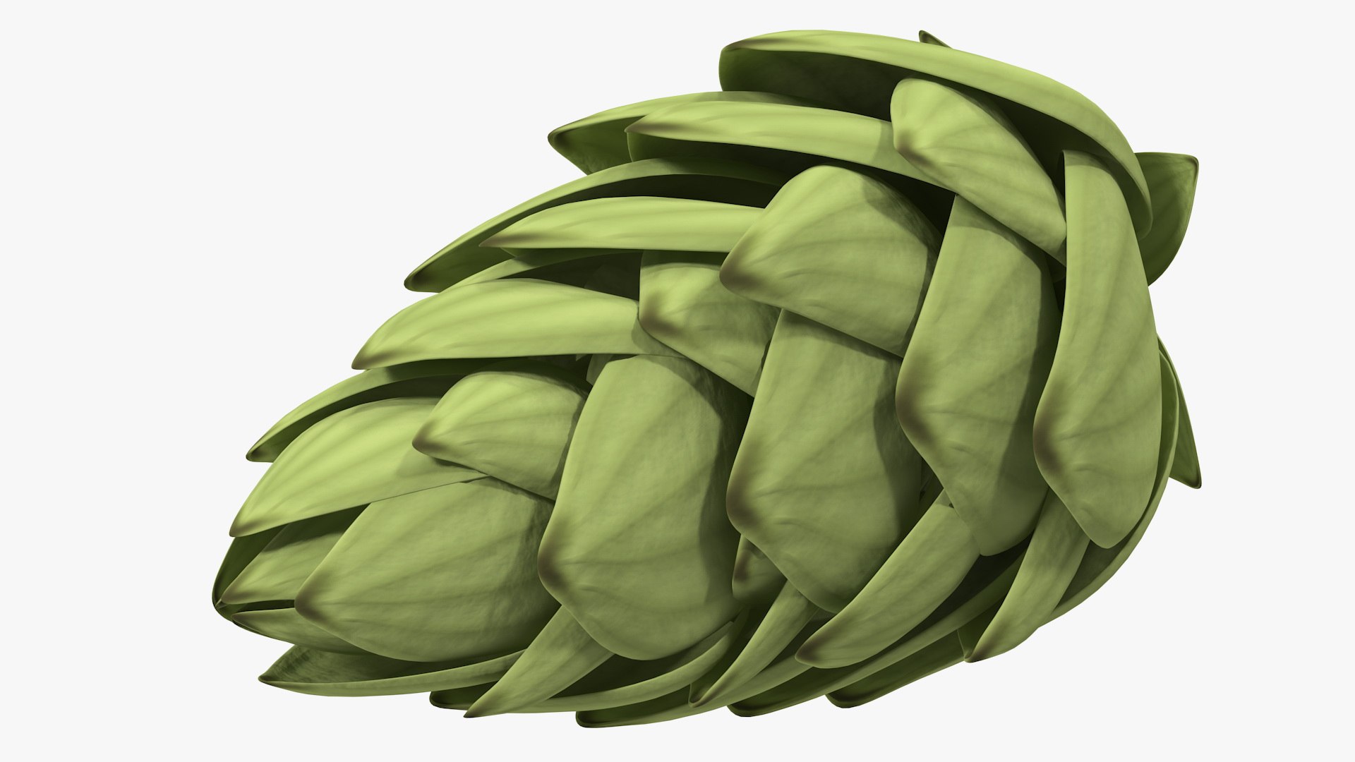 Hop Cone Model - TurboSquid 1441059