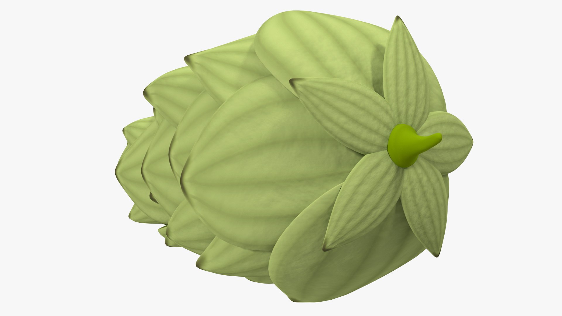 Hop Cone Model - TurboSquid 1441059