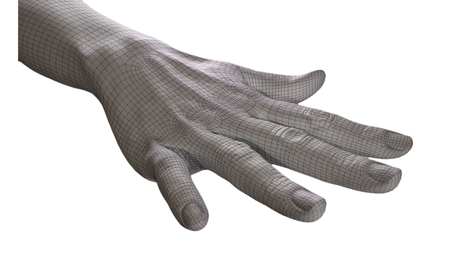3D Model Retopologized 3D Hand Scan Of Raenia Freeman - TurboSquid 1930754