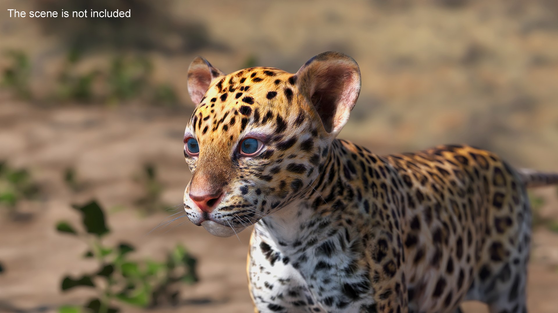 Leopard Cub Rigged 3D Model - TurboSquid 2335705