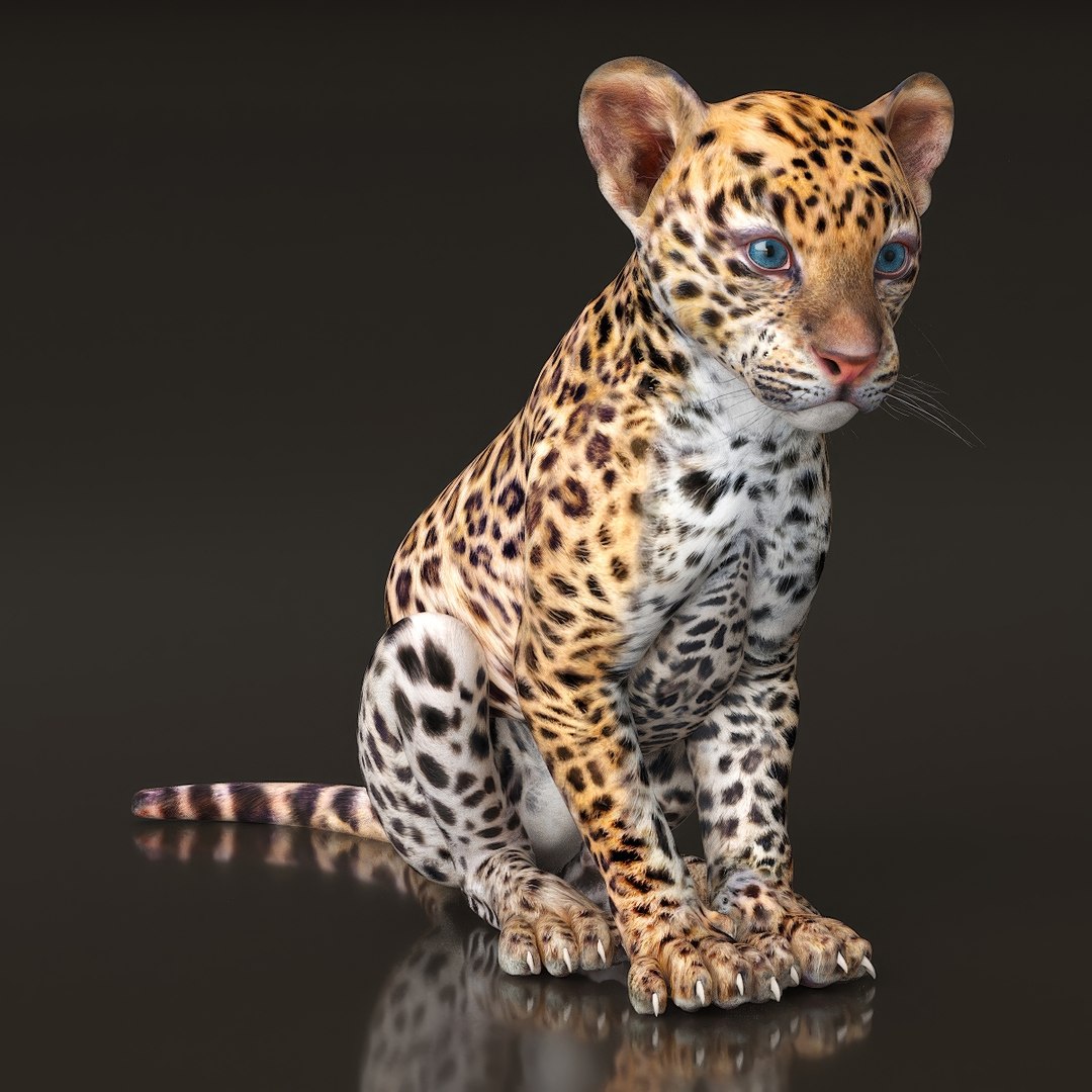 Leopard Cub Rigged 3D Model - TurboSquid 2335705