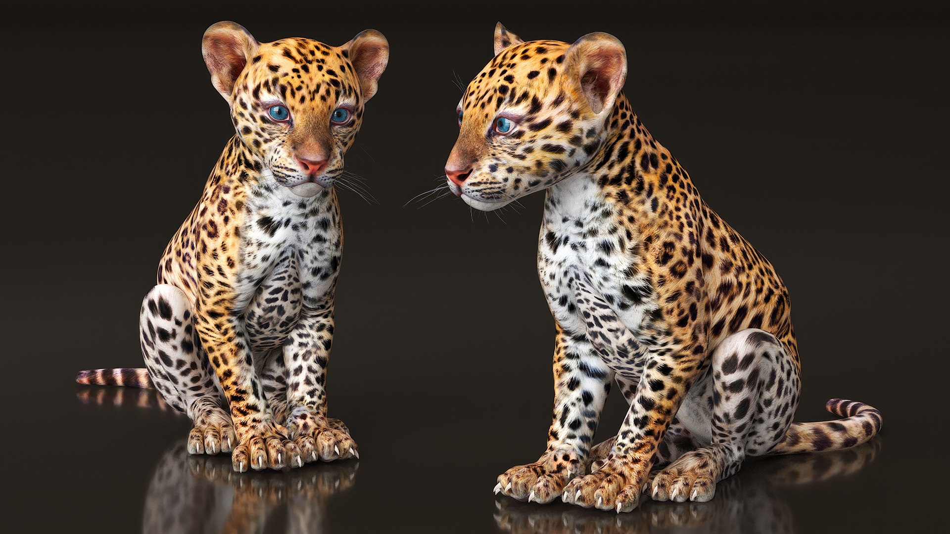 Leopard Cub Rigged 3D Model - TurboSquid 2335705