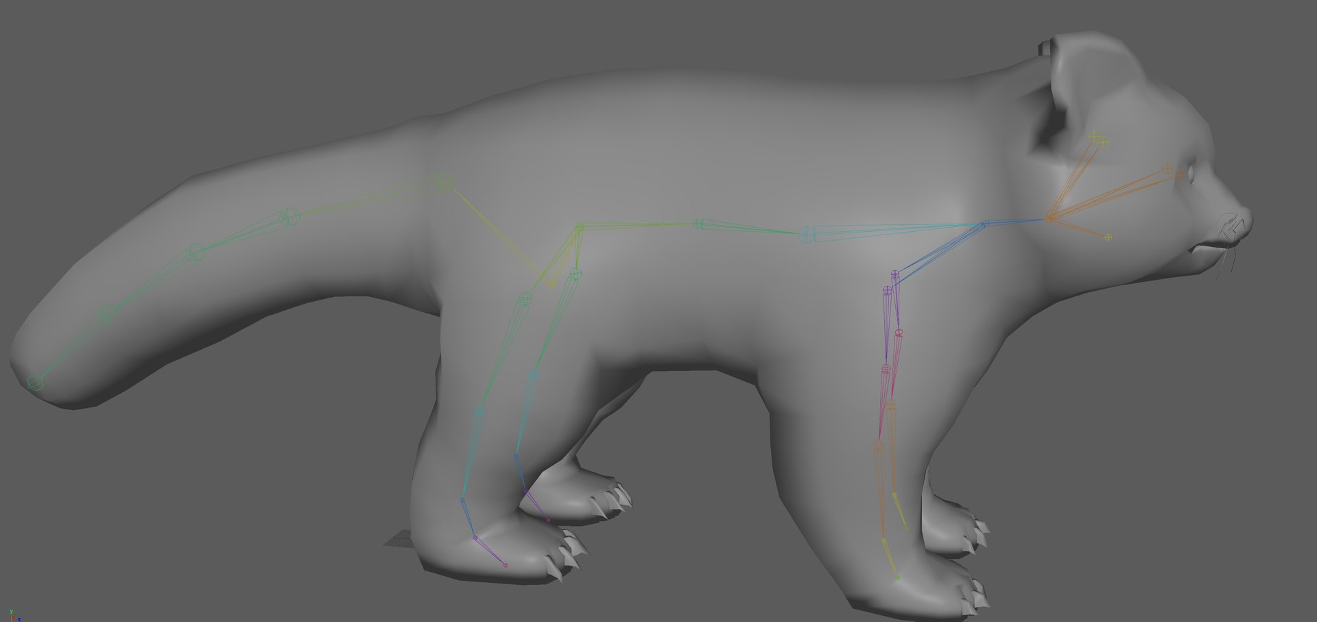 Red Panda Rig Low Poly 3D Model - TurboSquid 1986414