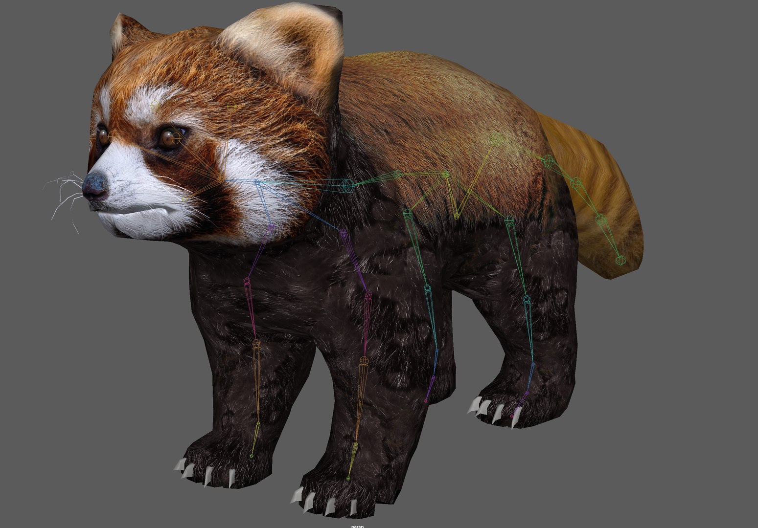 Red Panda Rig Low Poly 3D Model - TurboSquid 1986414