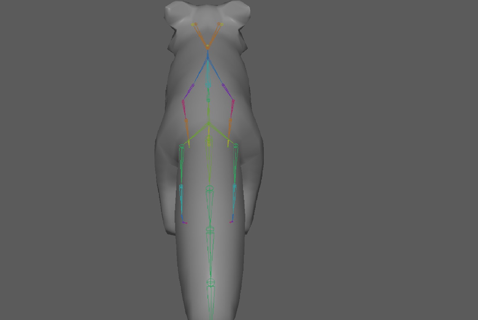 Red Panda Rig Low Poly 3D Model - TurboSquid 1986414