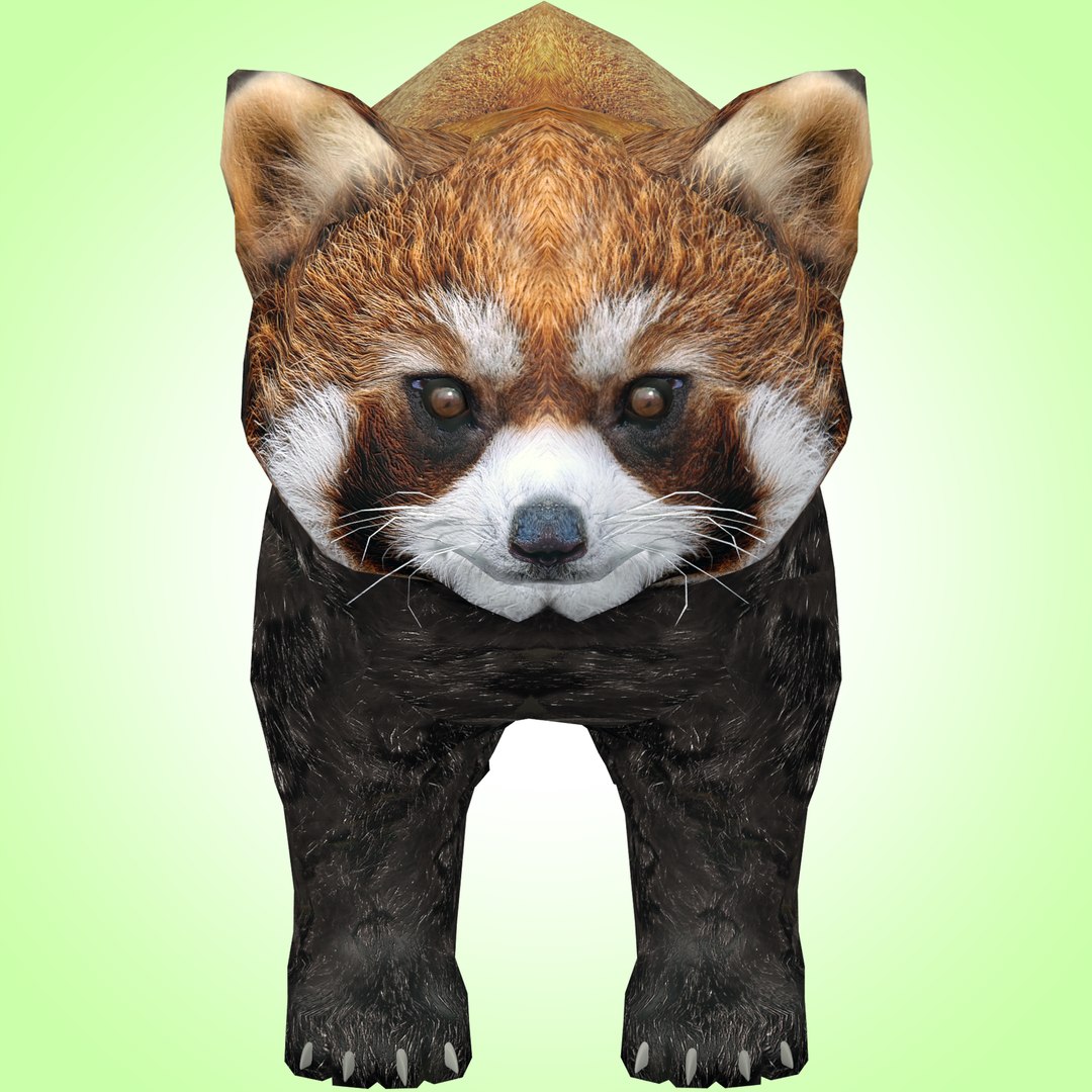 Red Panda Rig Low Poly 3D Model - TurboSquid 1986414