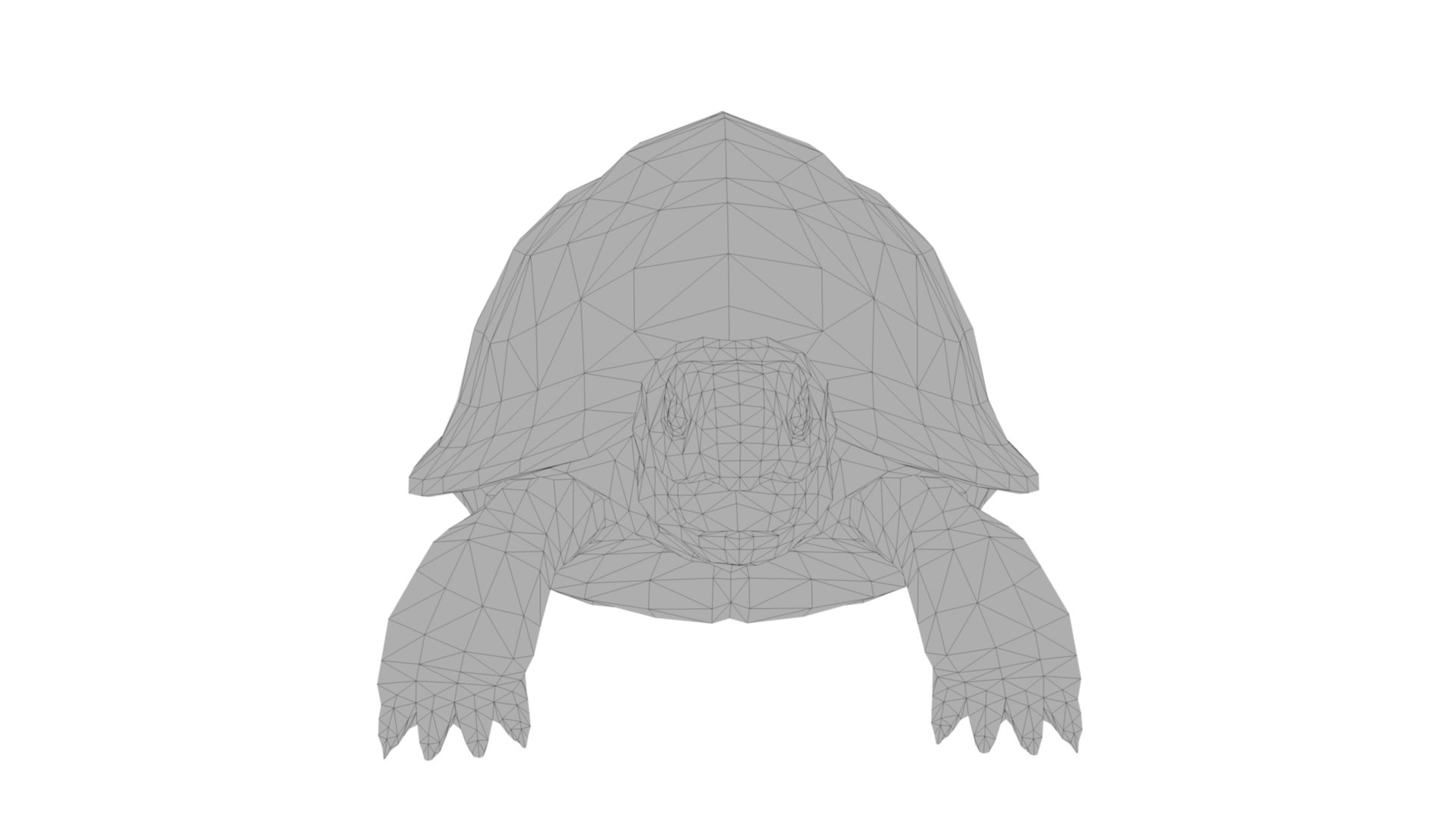 3D Turtle Model - TurboSquid 2073434