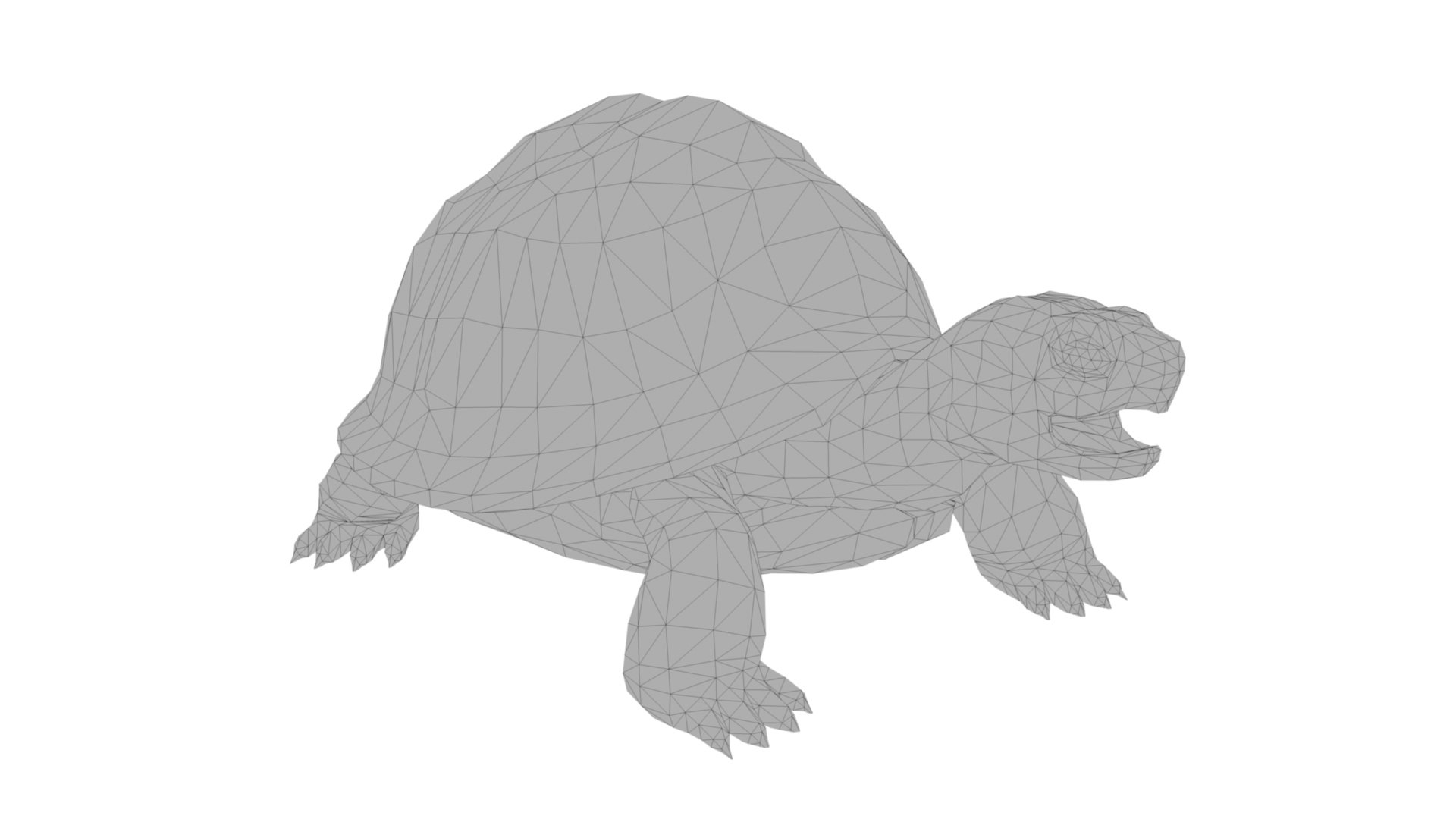 3D Turtle Model - TurboSquid 2073434
