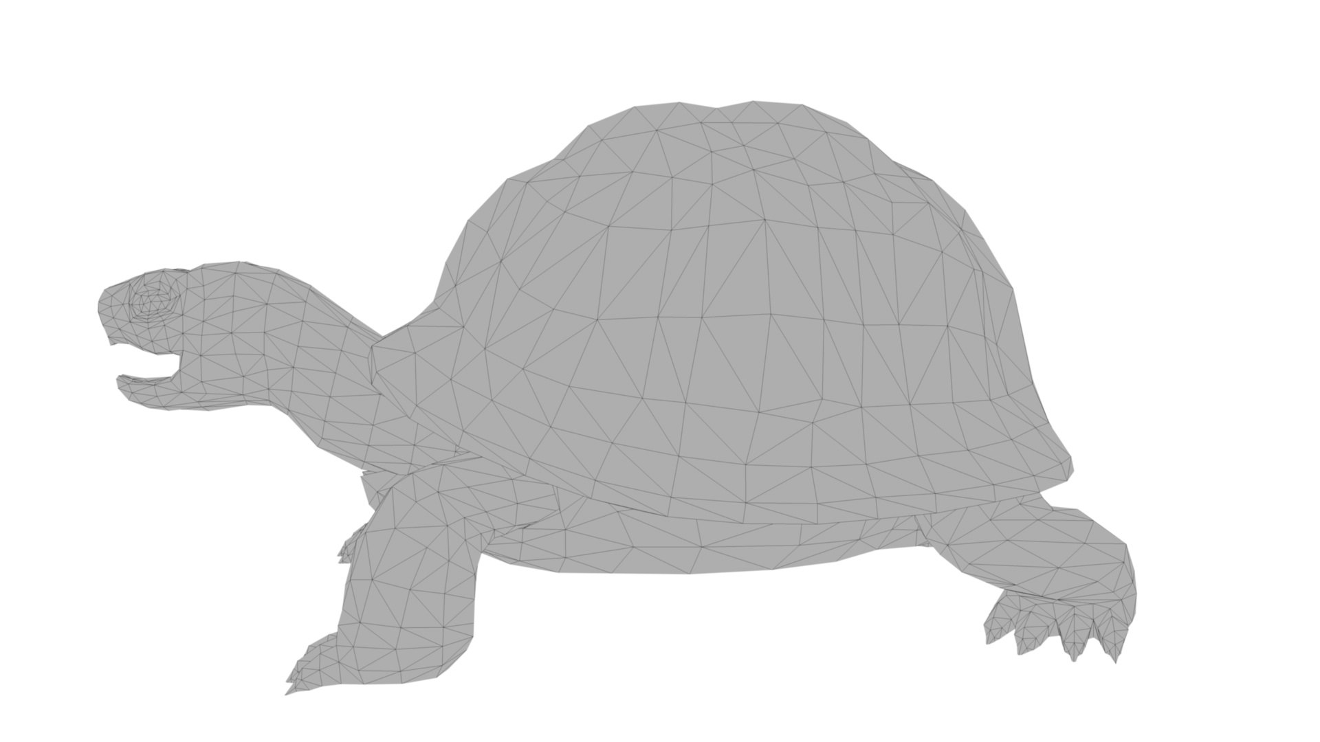 3D Turtle Model - TurboSquid 2073434
