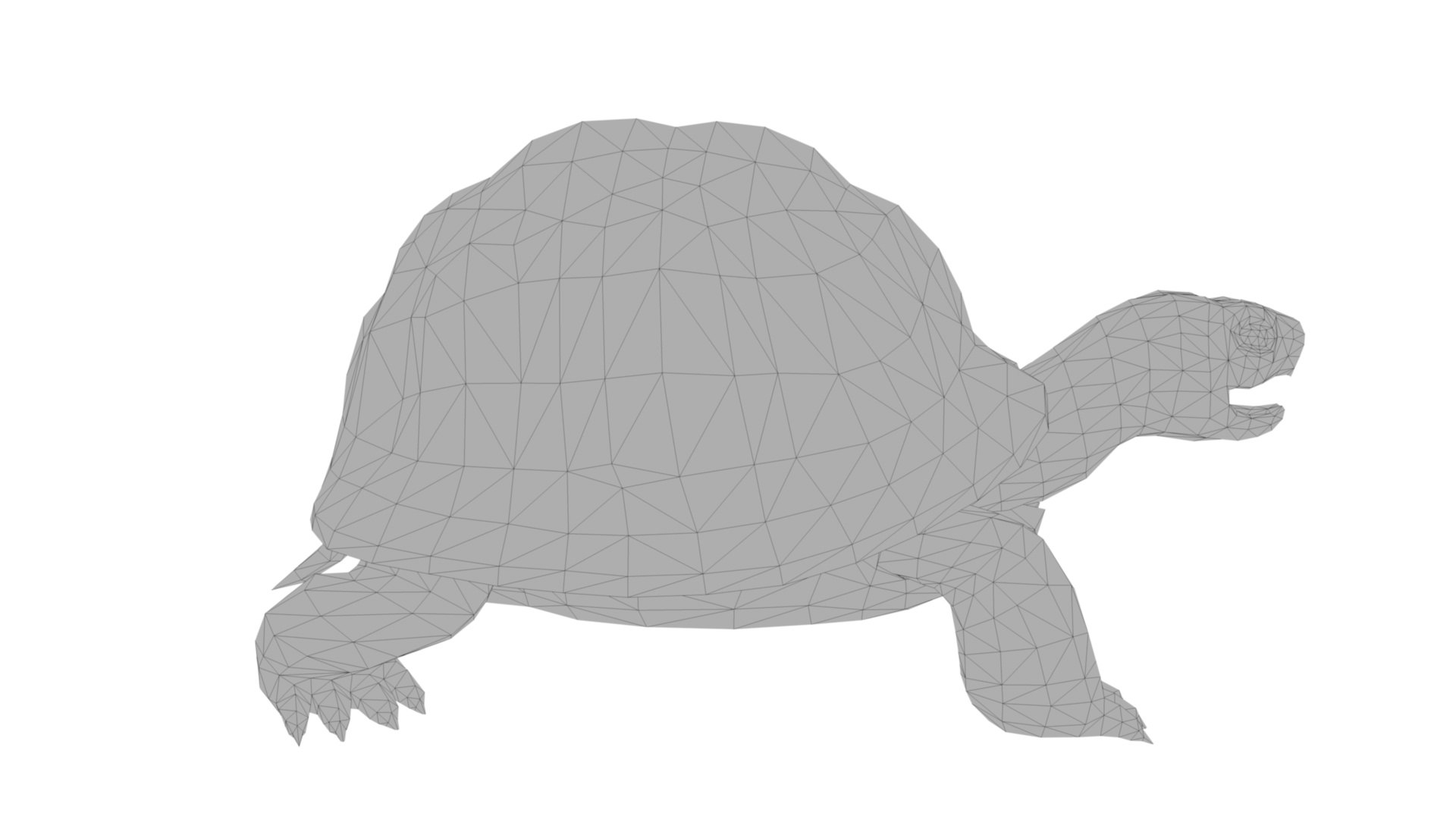 3D Turtle Model - TurboSquid 2073434