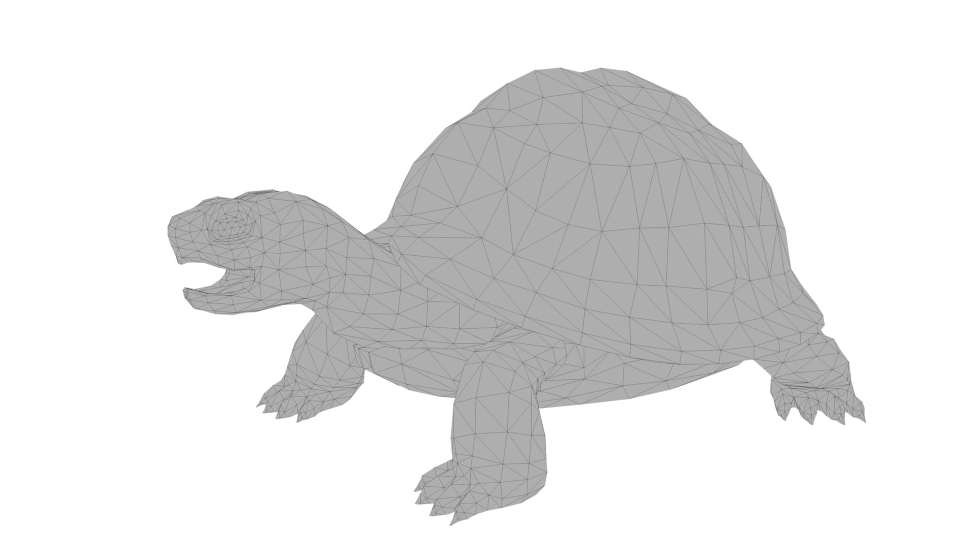 3D Turtle Model - TurboSquid 2073434