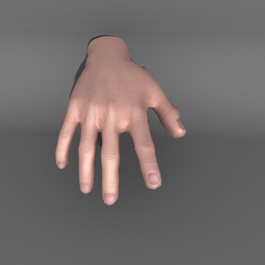 3D Hand Animation - TurboSquid 1513611