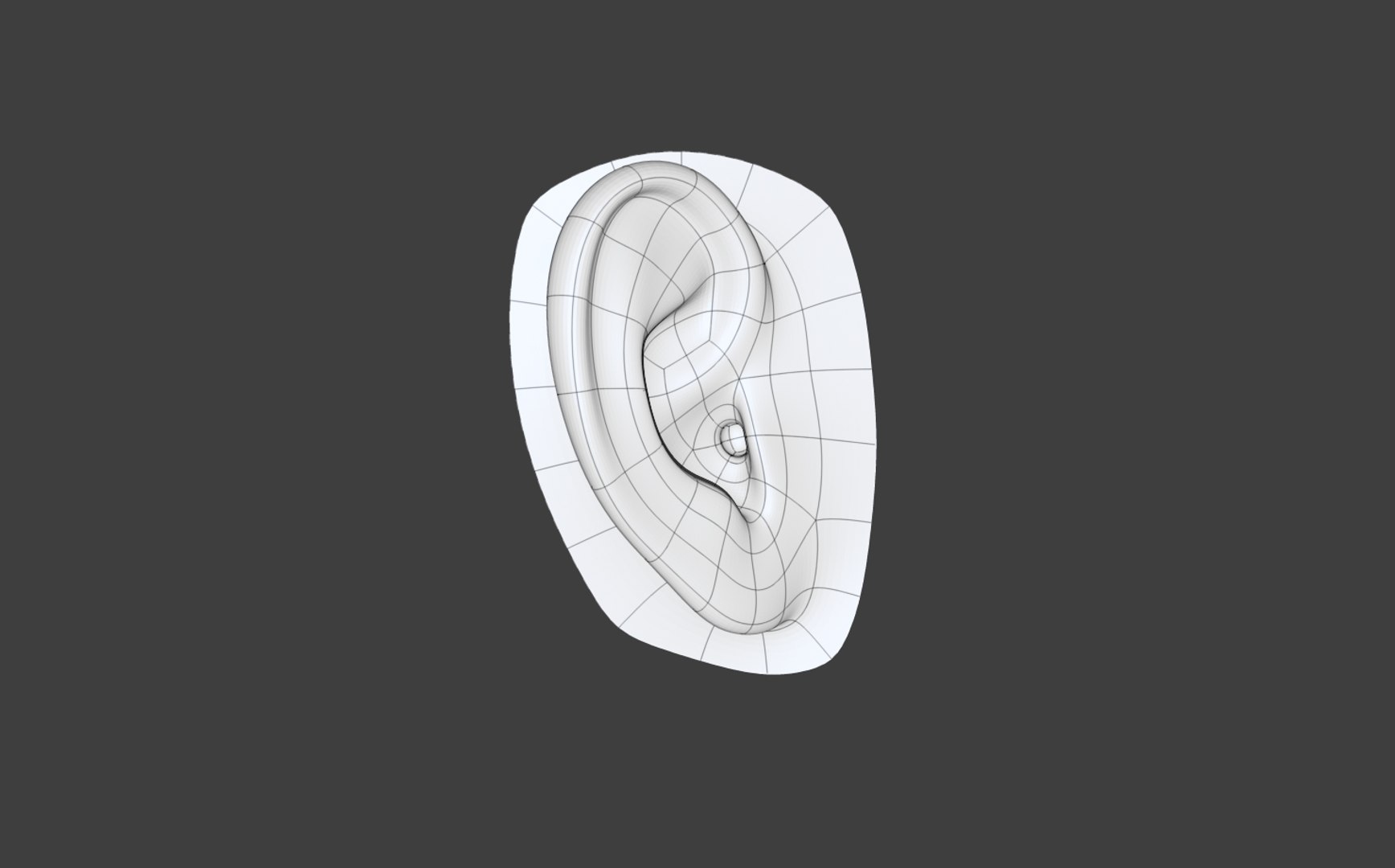 Ear Anatomy 3D - TurboSquid 1405304