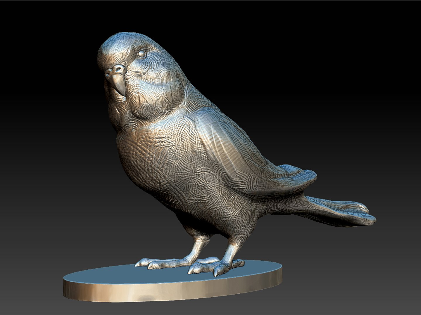 3d Model Bird