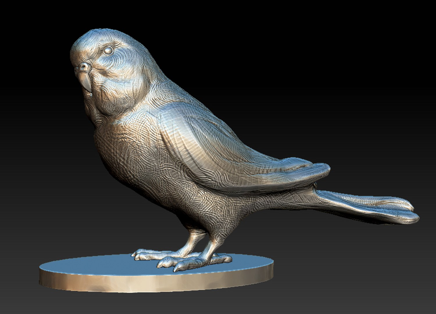 3d Model Bird