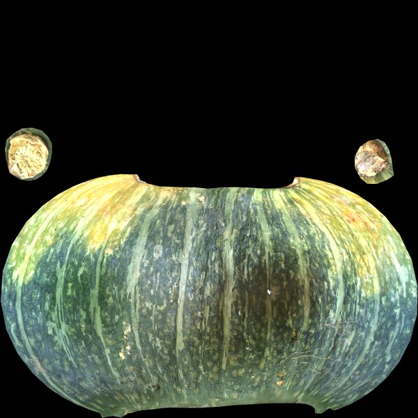 gourd vegetable plant 3d model