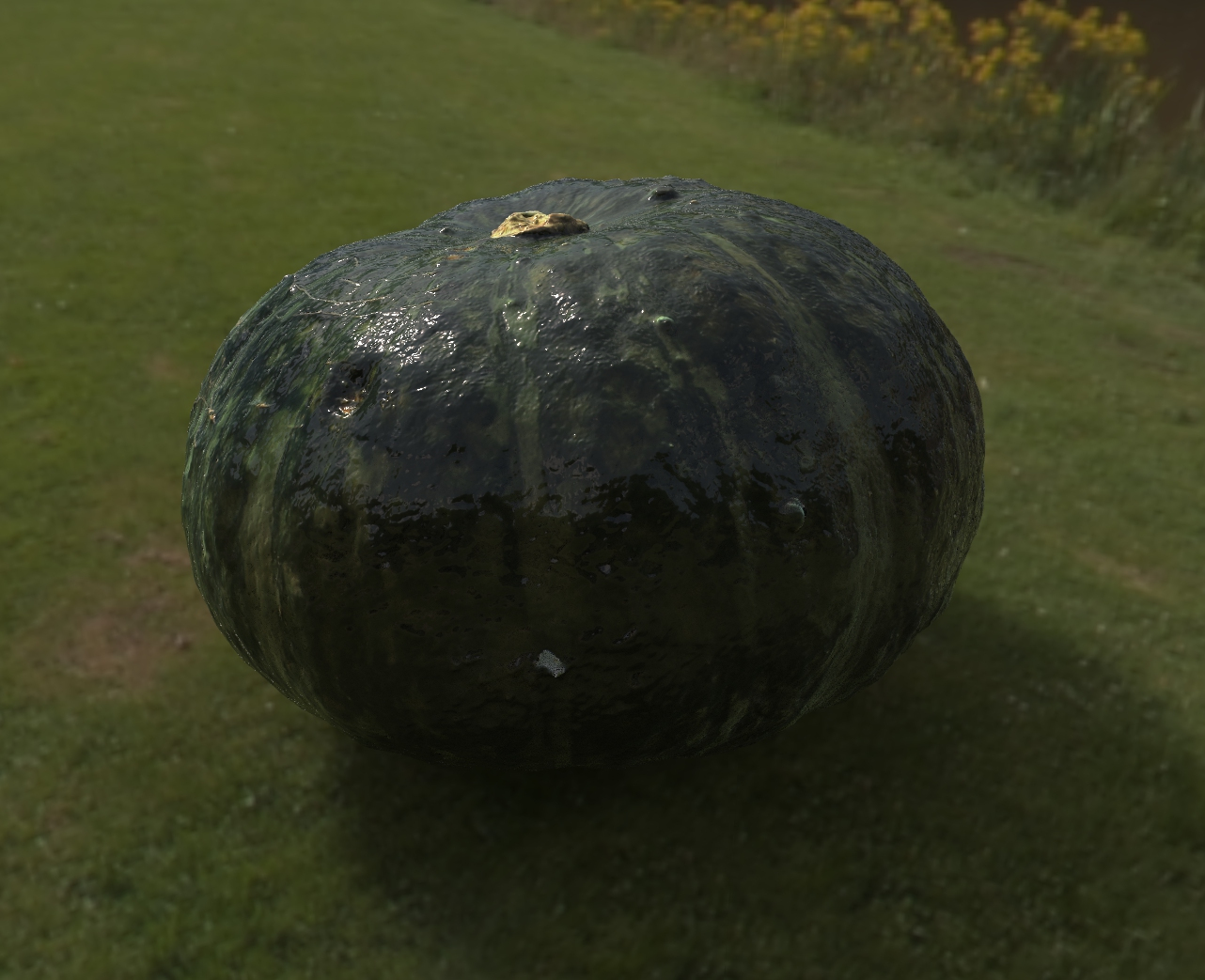 gourd vegetable plant 3d model