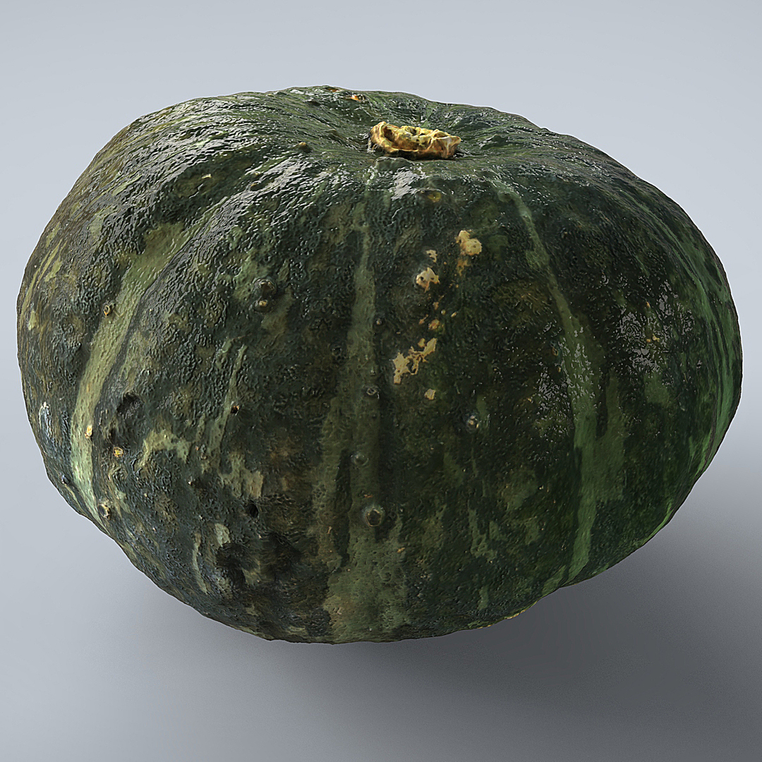 gourd vegetable plant 3d model