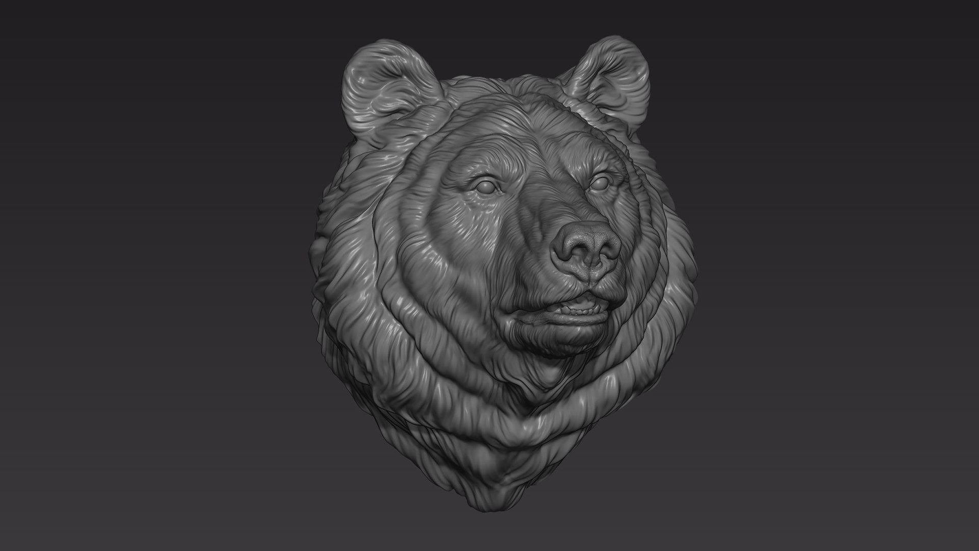 3D Model Bear Head Shaggy - TurboSquid 2073805