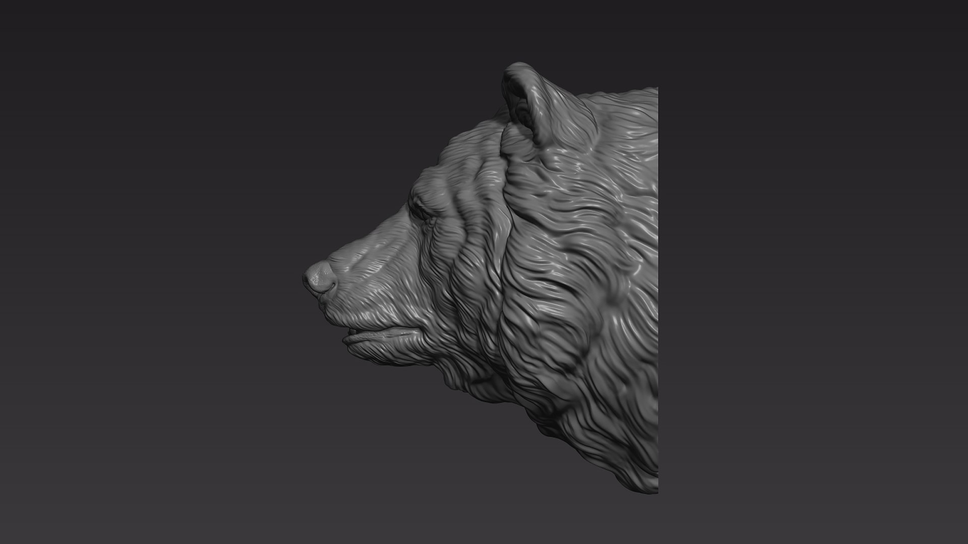 3D Model Bear Head Shaggy - TurboSquid 2073805