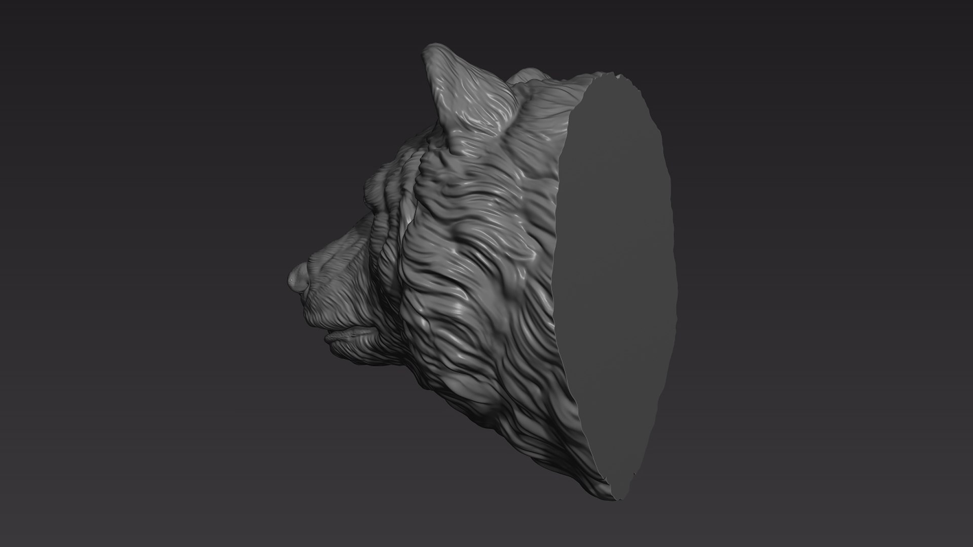 3D Model Bear Head Shaggy - TurboSquid 2073805