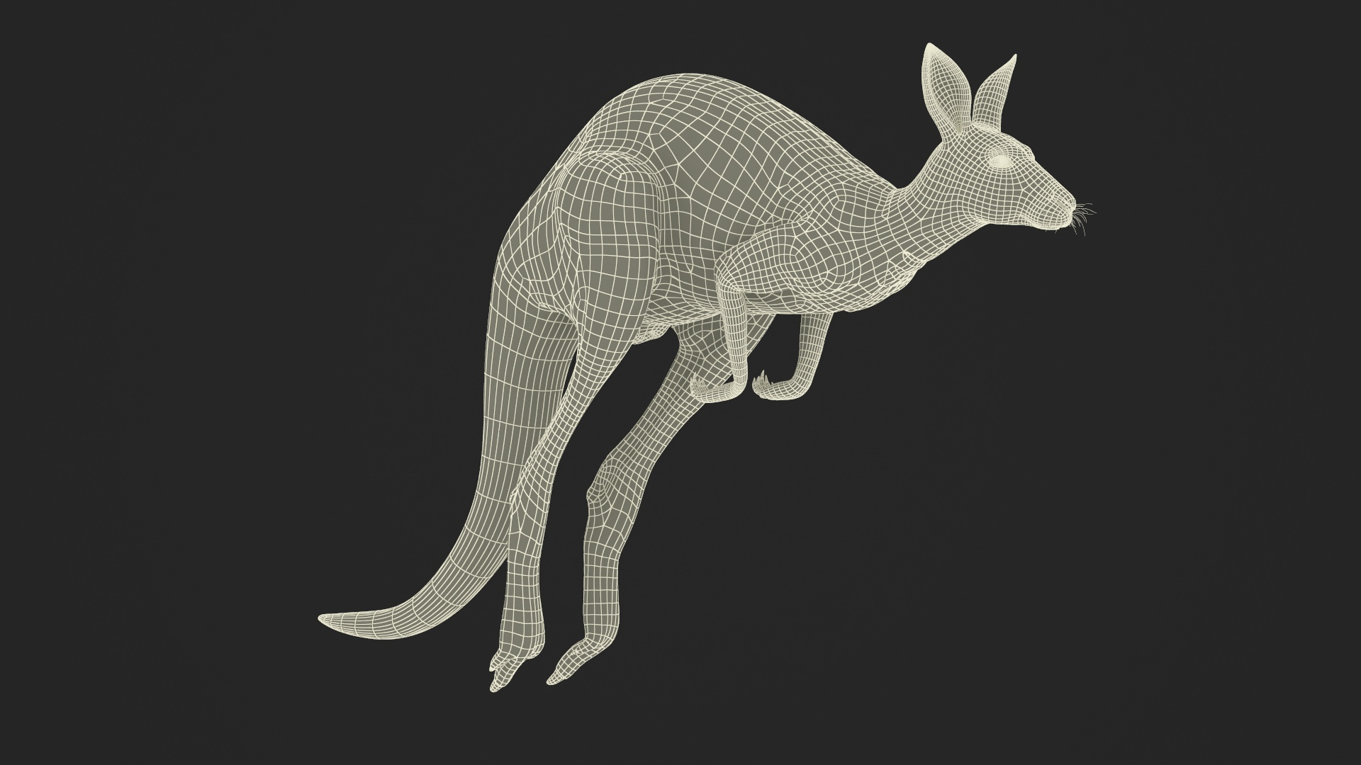 3D Kangaroo In Motion Fur Model - TurboSquid 2284151
