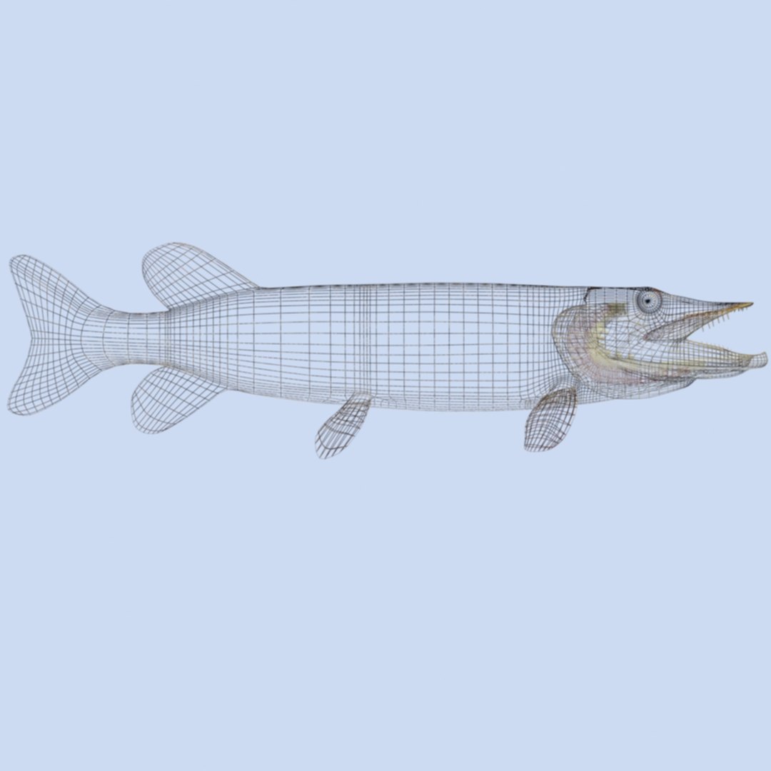 3ds Max Pike Northern