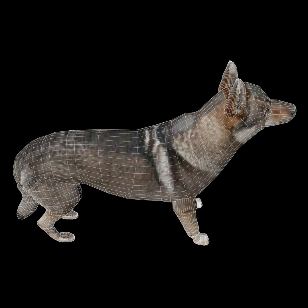 Wolf Model - TurboSquid 1736748
