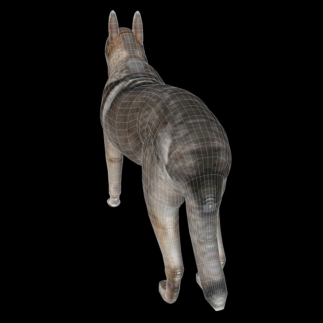 Wolf Model - TurboSquid 1736748