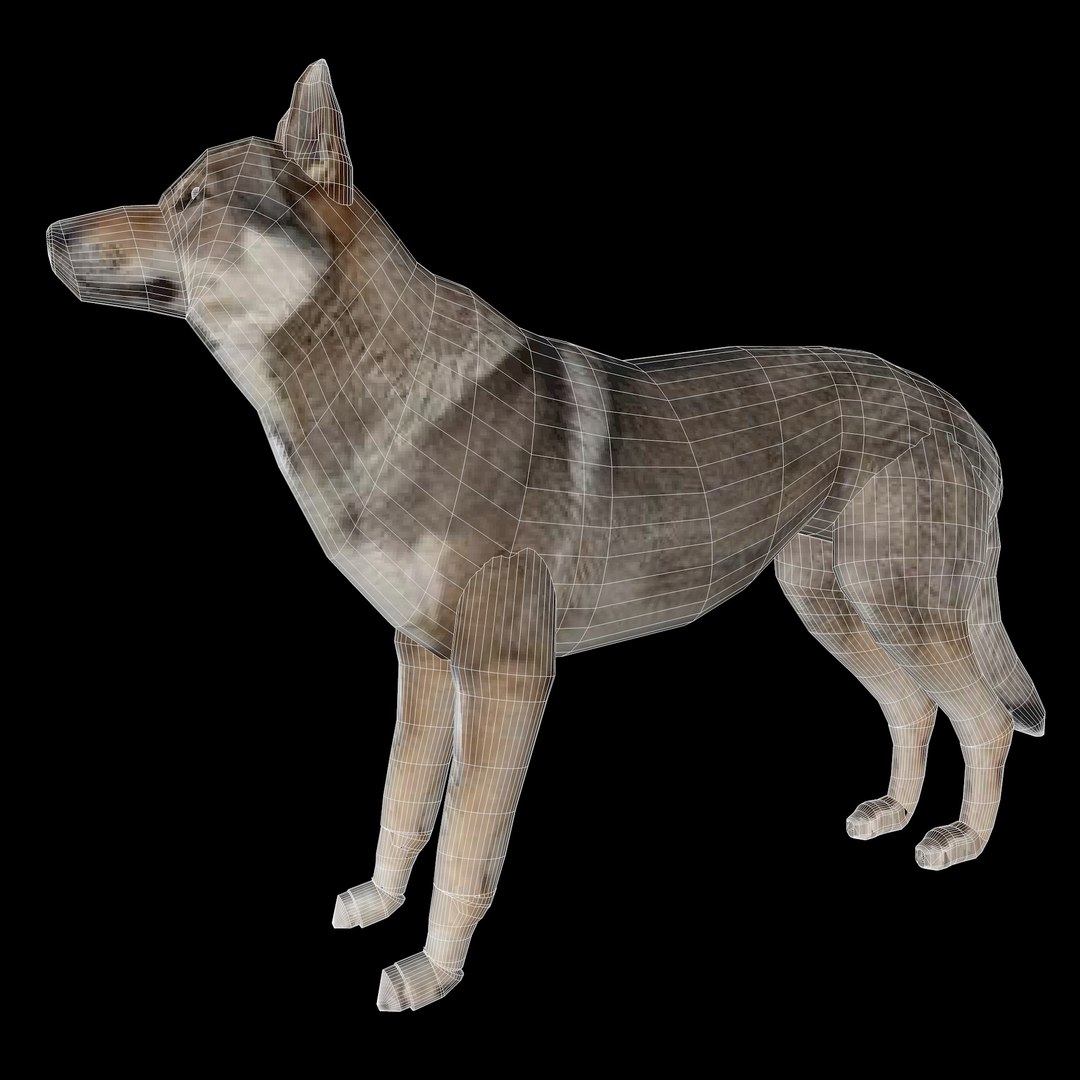 Wolf Model - TurboSquid 1736748