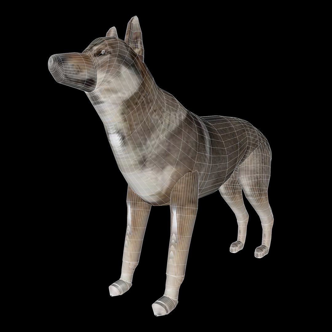 Wolf Model - TurboSquid 1736748
